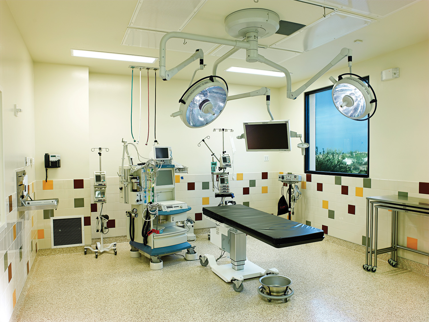 Gallery | ACOSM | Veterinarian Scottsdale, Phoenix Veterinarian | A One ...